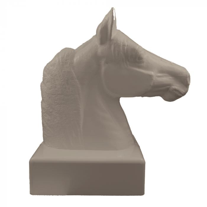 horse head cap